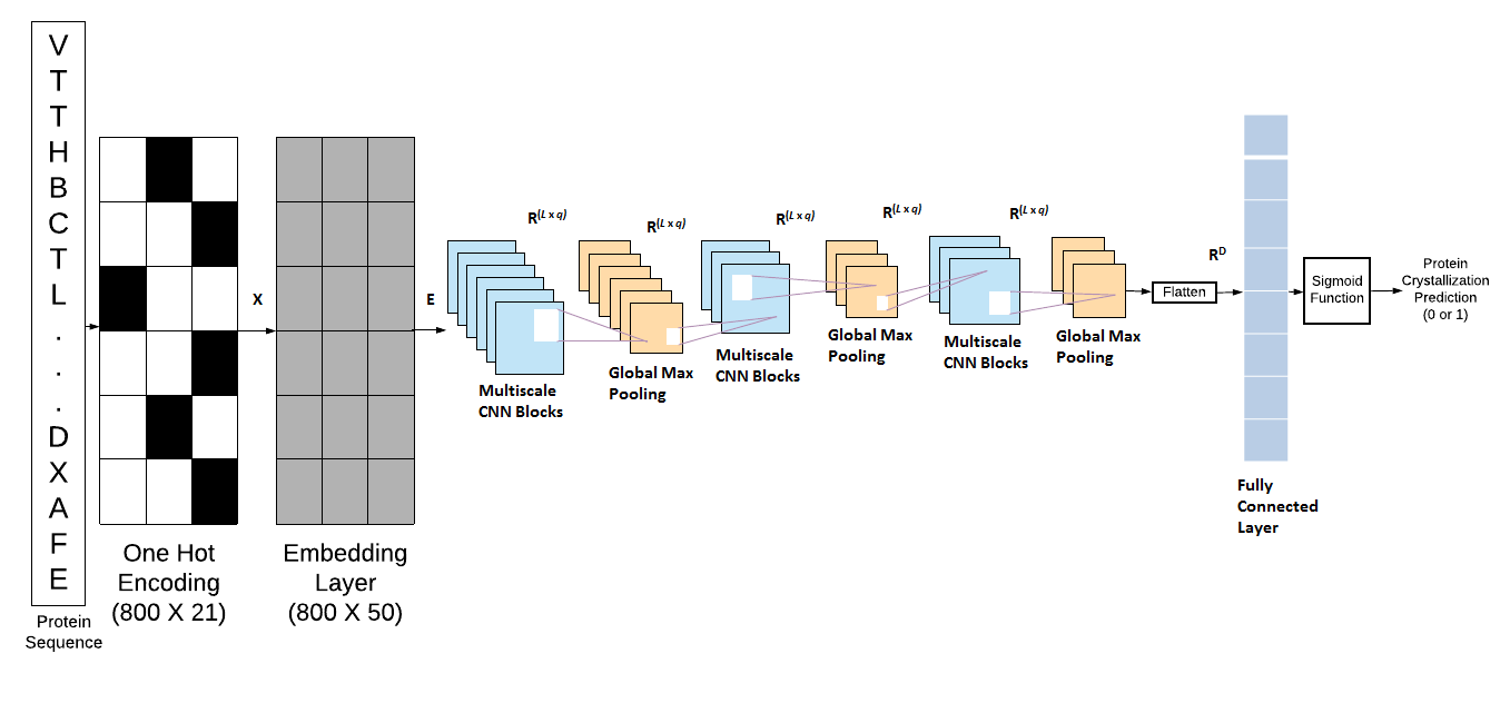 QCRI ML for Proteins